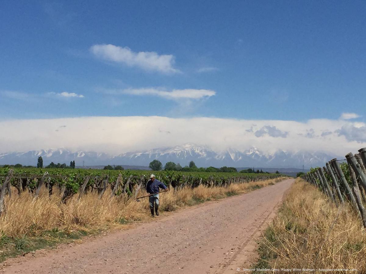 Wine Times Hong Kong: Argentina’s signature grape – Simone Madden-Grey ...