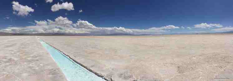 Simone Madden-Grey : Happy Wine Woman